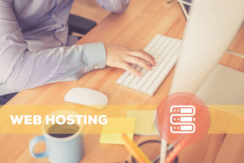 What are the Best Website Hosting Services?